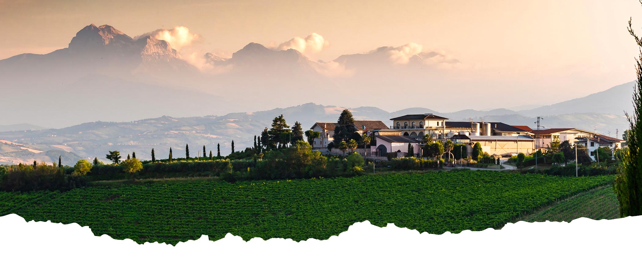 vinařství Illuminati Vini Itálie / Abruzzo